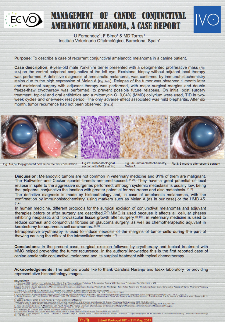El IVO en el Congreso Europeo de Oftalmólogos Veterinarios ECVO 2017